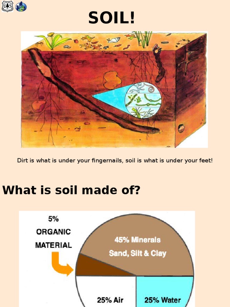 Soil Exploration for Young Learners | PDF