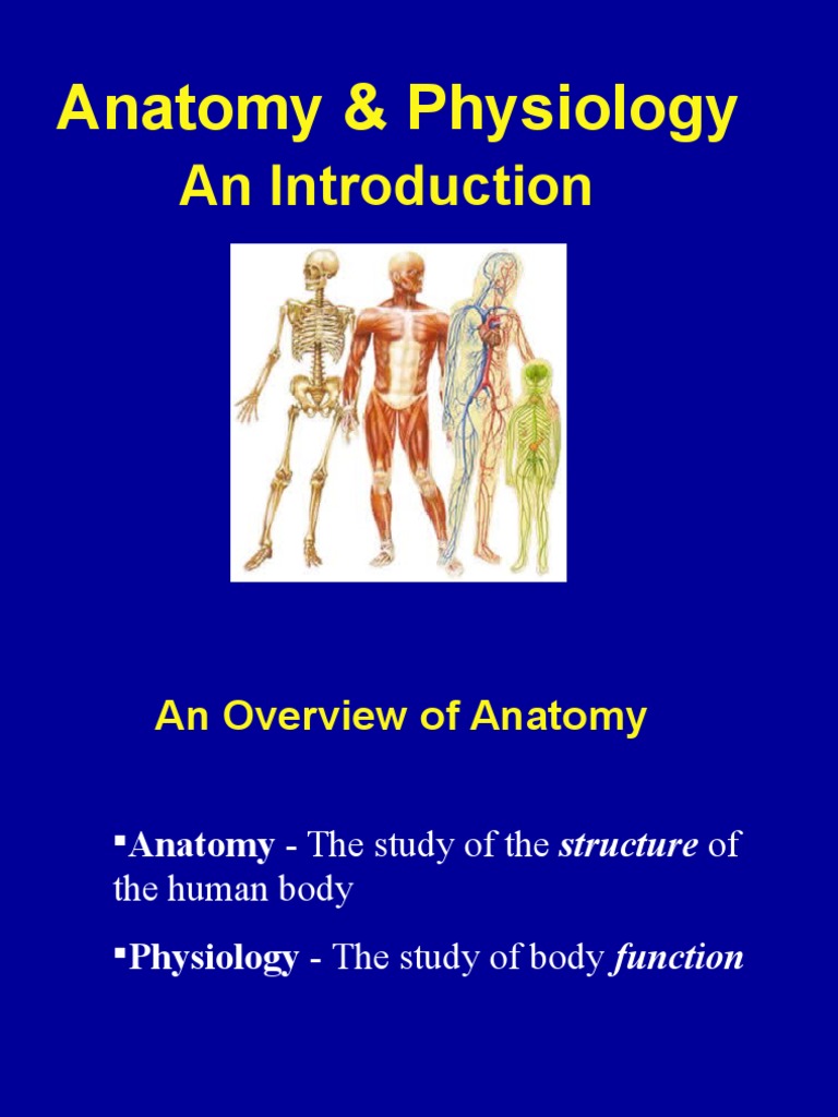 Anatomy & Physiology Intro. Powerpoint (Chapter 1) | PDF | Human Body ...