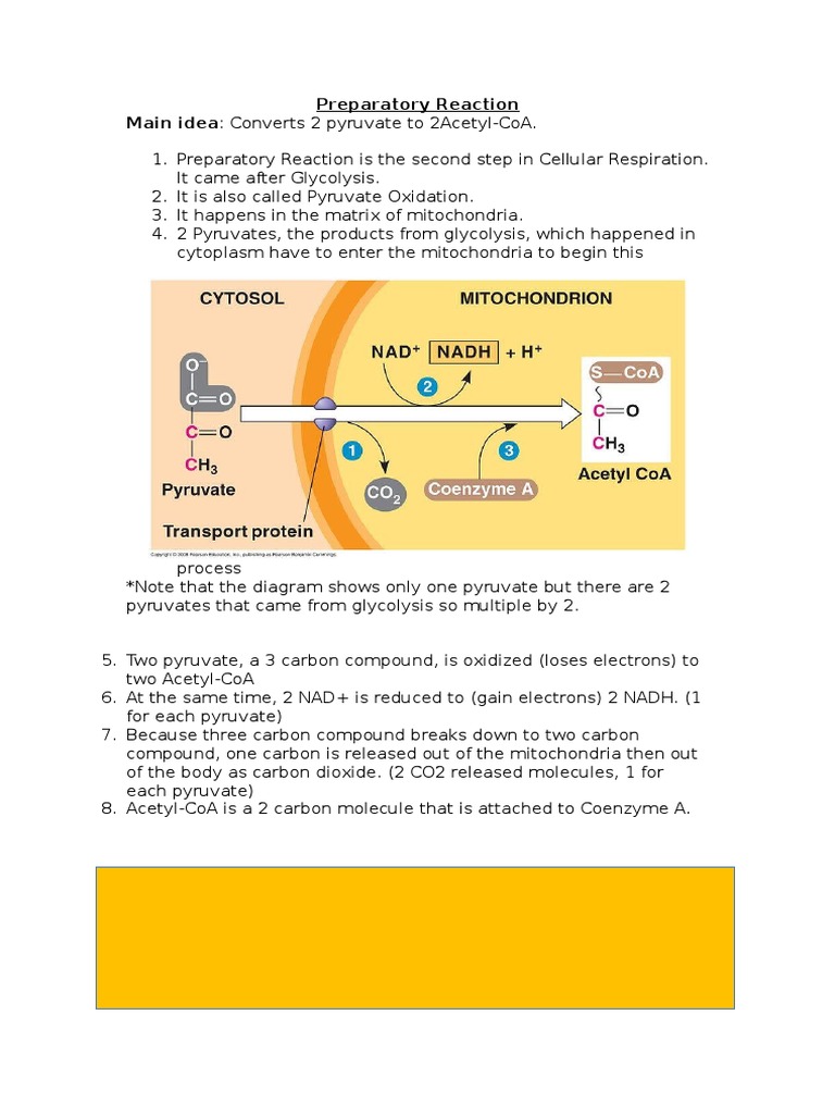 Preparatory Reaction-2 | PDF | Biochemistry | Chemistry