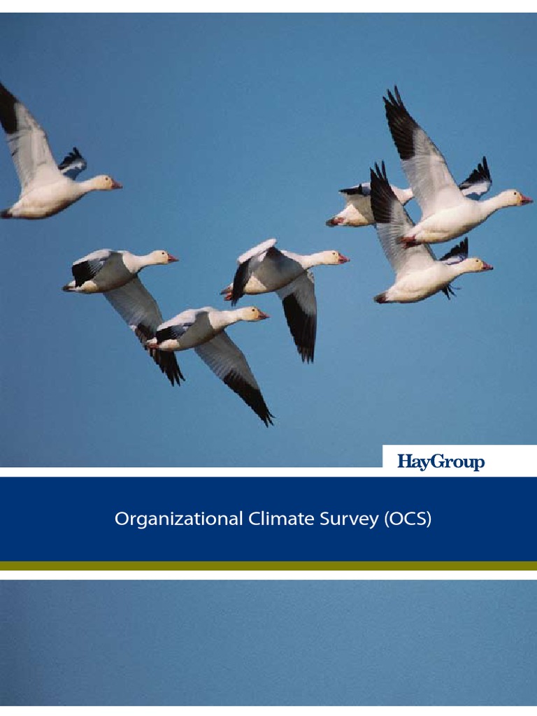 Organizational Climate Survey | PDF | Survey Methodology | Leadership