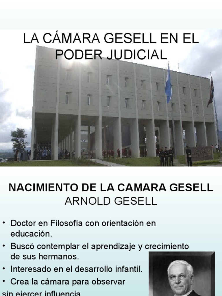 La Cámara Gesell | PDF | Testimonio | Verdad