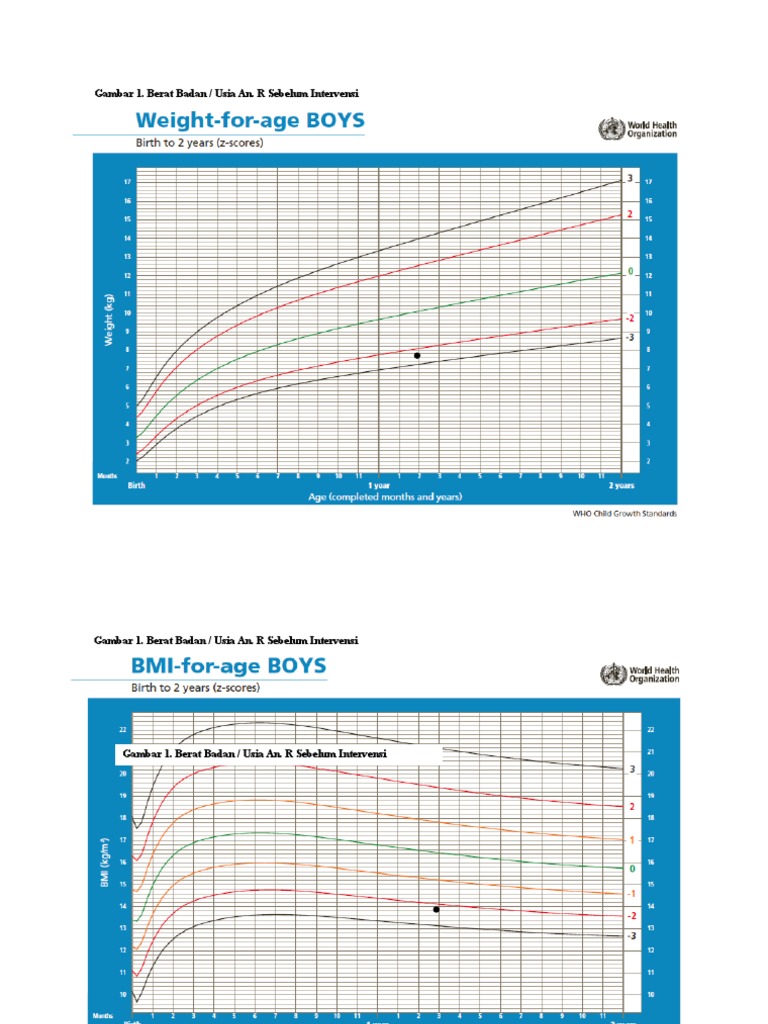 Weight For Age Z Score | PDF