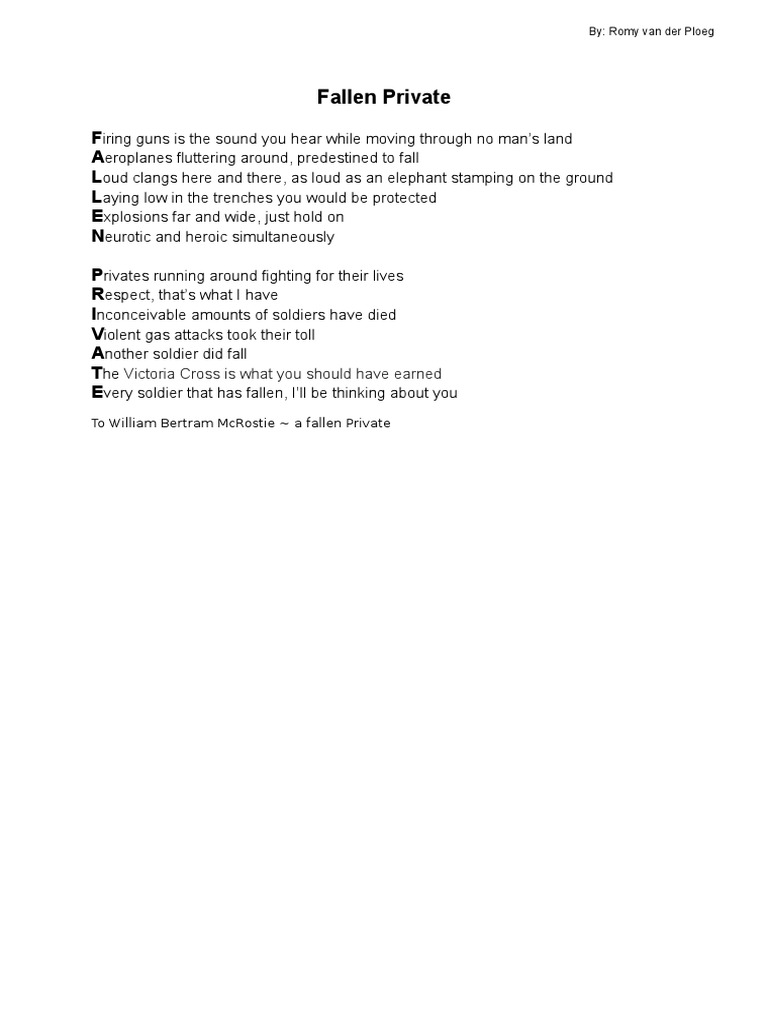 Fallen Private | PDF