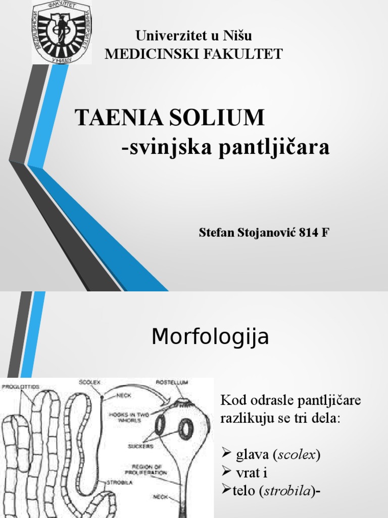 Taenia Solium 1 | PDF