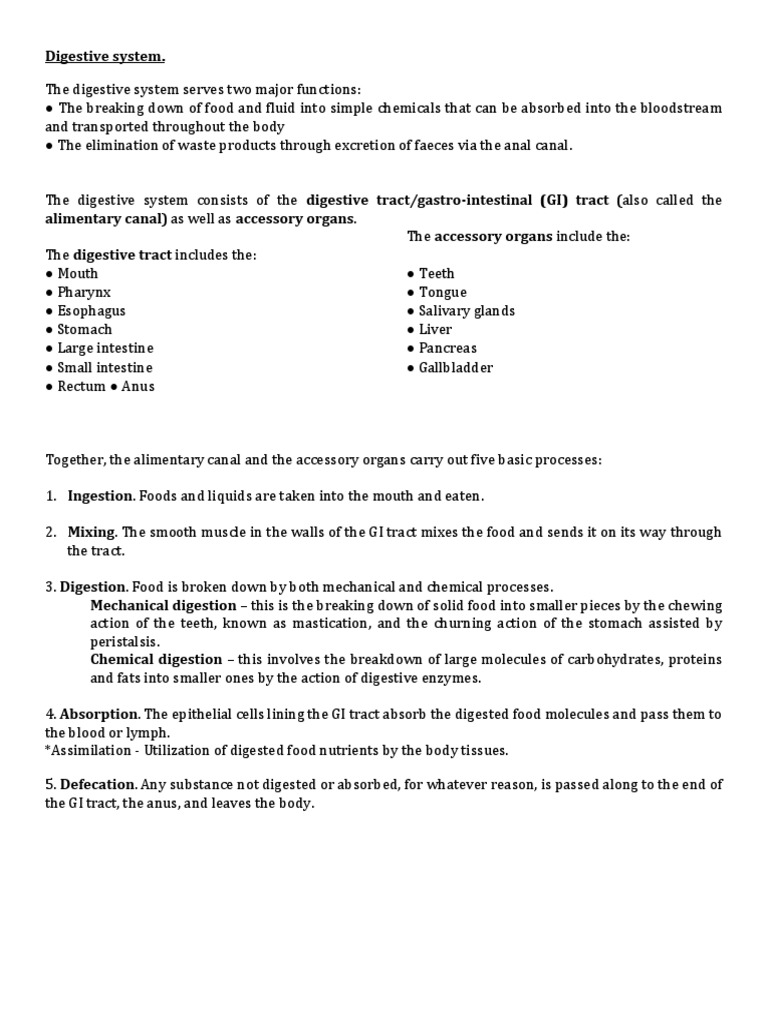 Digestive System Notes | PDF | Digestion | Human Digestive System