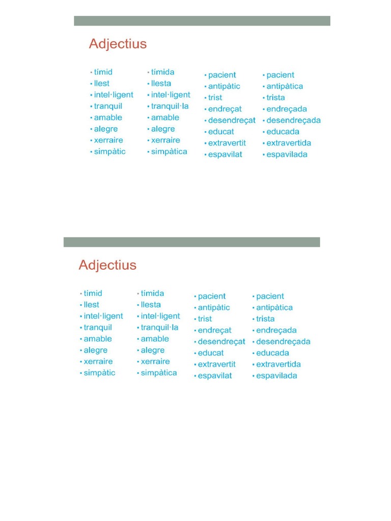 Adjectius | PDF