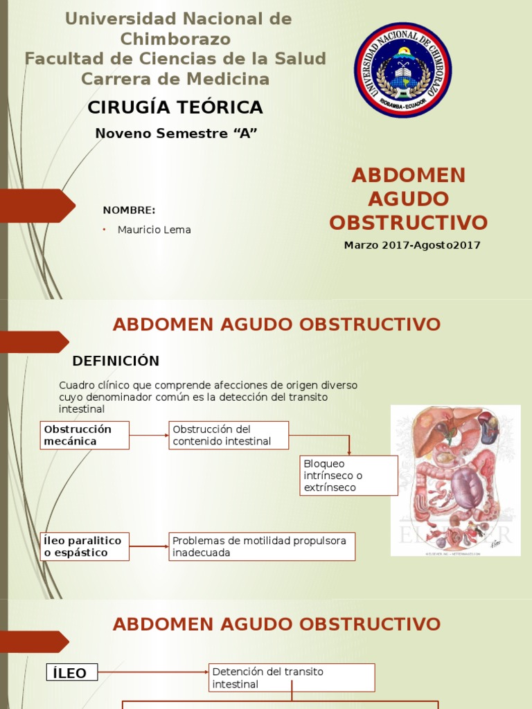 Cirugía de las bridas abdominales y adherencias: causas, diagnóstico y ...