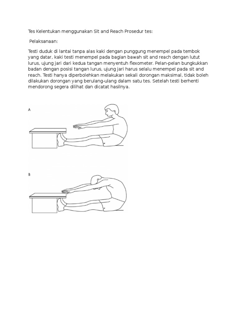 Sit and Reach Test | PDF