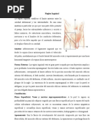 Que Es La Ingle | PDF | Estudios de idiomas extranjeros | Salud y bienestar
