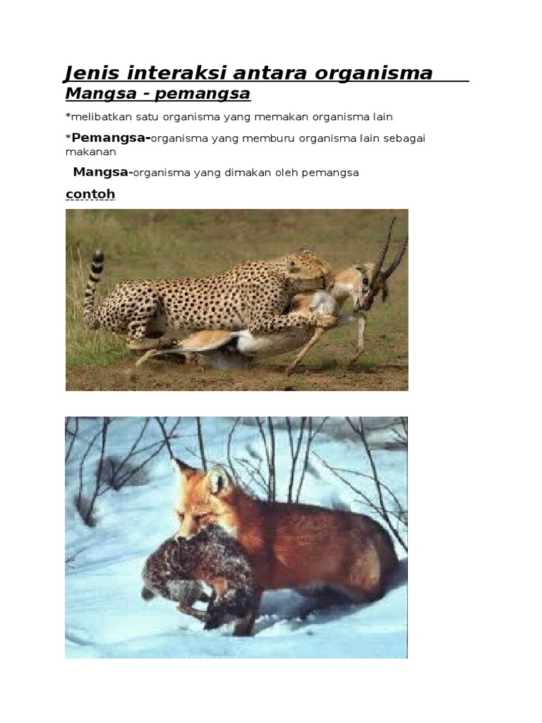 Jenis Interaksi Antara Organisma | PDF