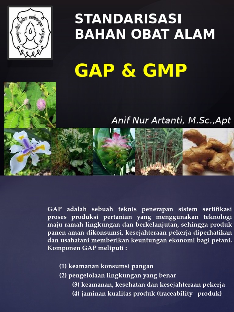 Gap & GMP | PDF