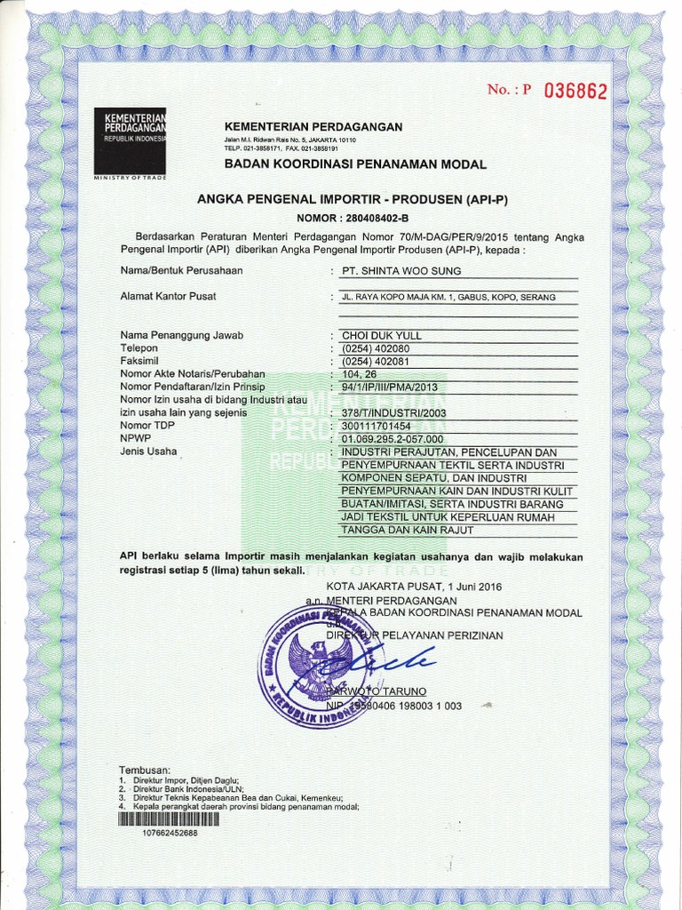 Angka Pengenal Importir (API-P) | PDF