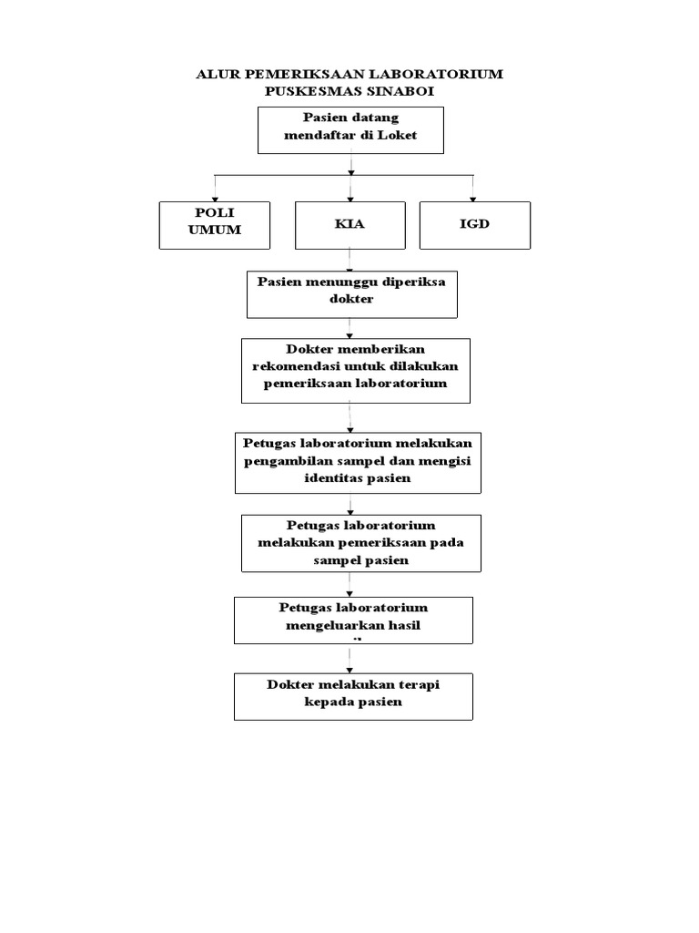 Alur Pemeriksaan Laboratorium - Riset