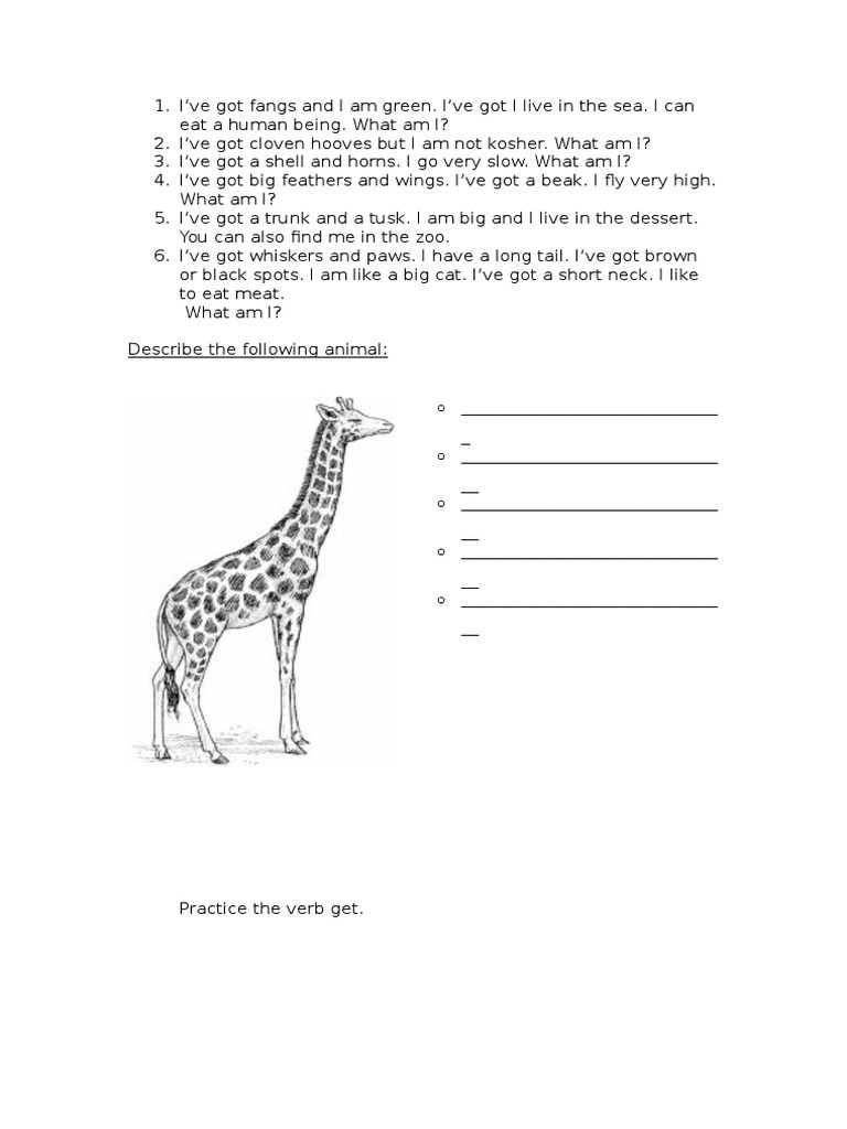 Animal Description Worksheet