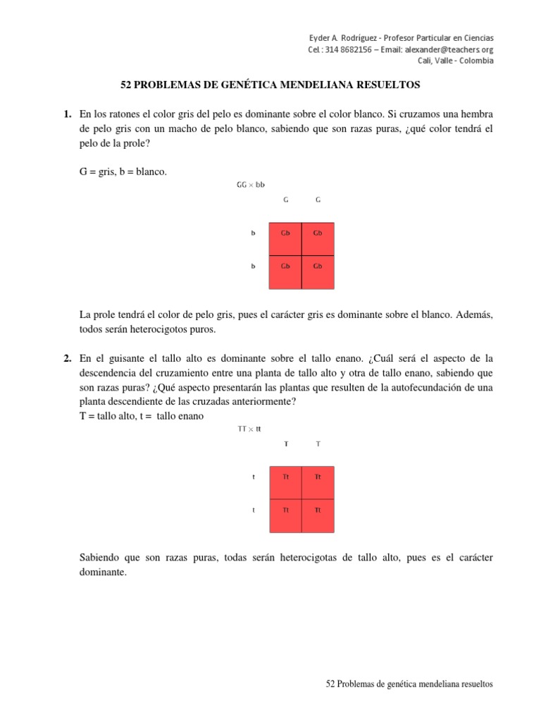 52 Problemas de Genética Mendeliana Resueltos | Dominancia (Genética ...