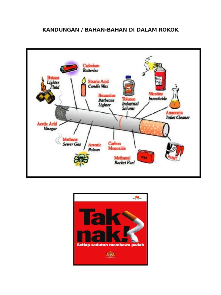 Rokok | PDF | Kesehatan Holistik