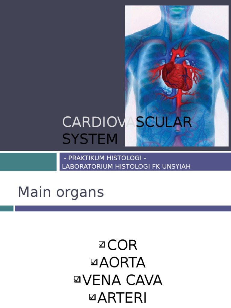 Cardiovascular System | PDF