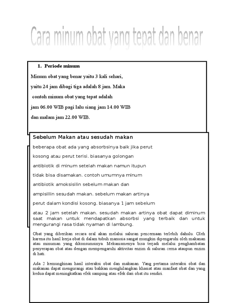 Aturan Minum Obat | PDF