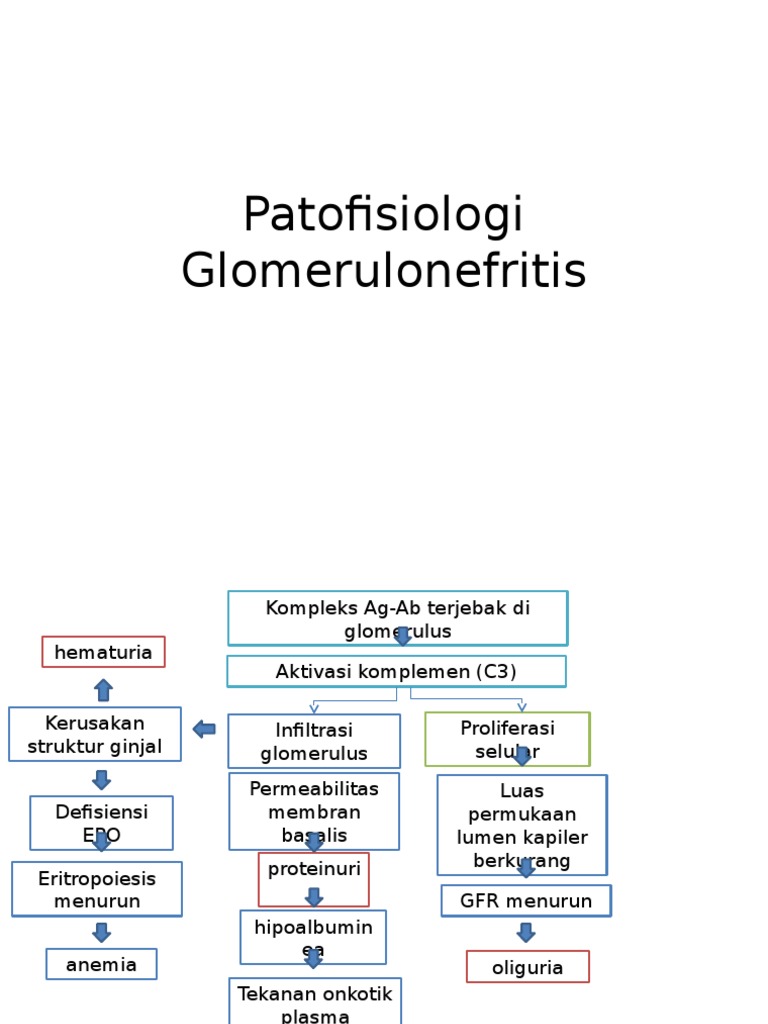 Patofisiologi Glomerulonefritis | PDF