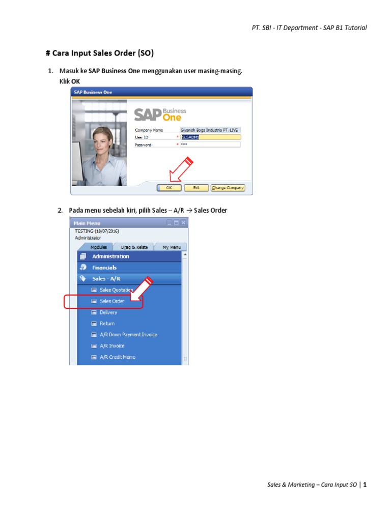 Cara Input Sales Order | PDF