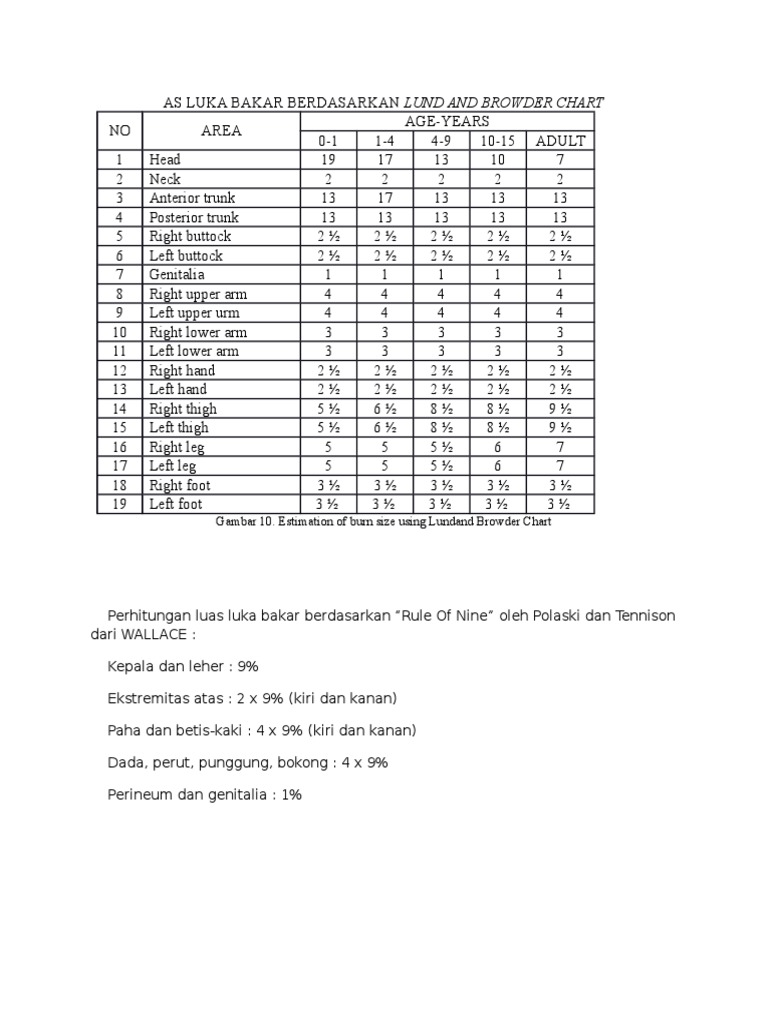 Lund and Browder chart burn size estimation | PDF