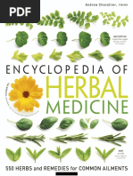 RDR2 Complete Checklist | PDF | Hide (Skin) | Fur