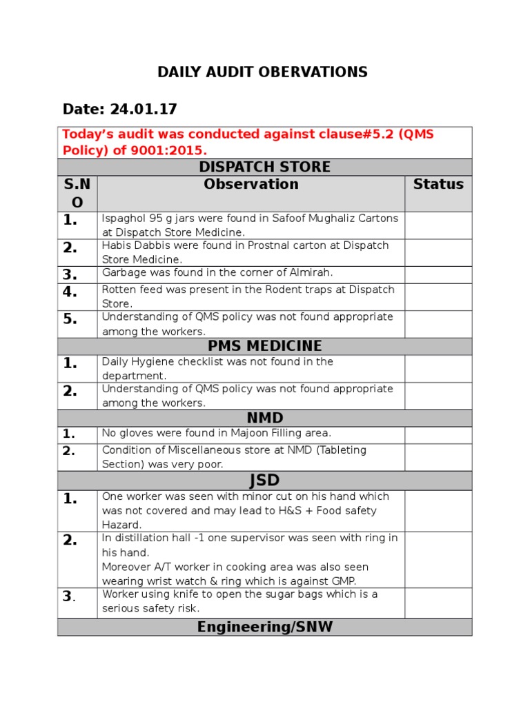Audit Observation | PDF
