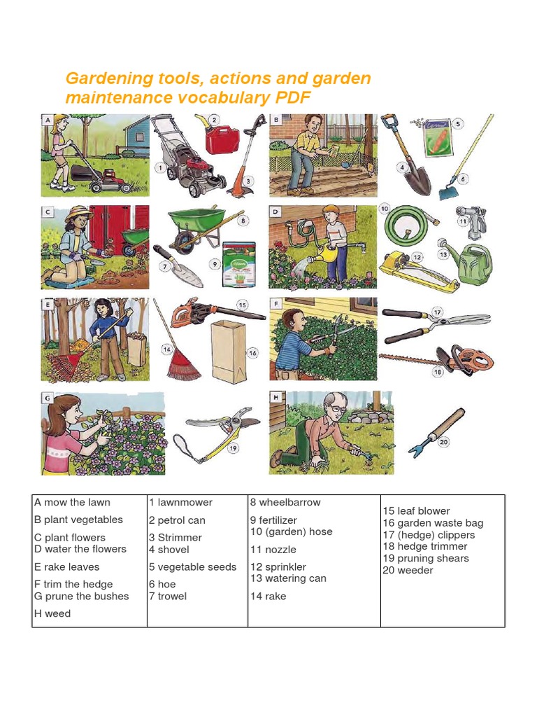 Gardening Tools and Actions Vocabulary | PDF