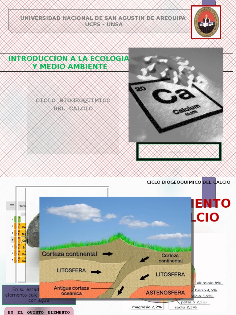 Ciclo Biogeoquímico Del Calcio | PDF | Calcio | Plantas
