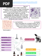 Rotulación e Identificación de Muestras | PDF | Histopatología ...