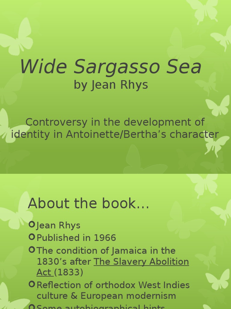 Identity Crisis in Wide Sargasso Sea | PDF | Critical Theory