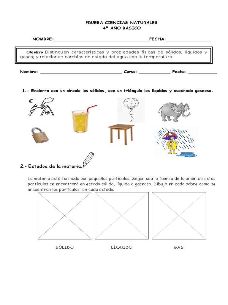 Prueba La Materia | PDF
