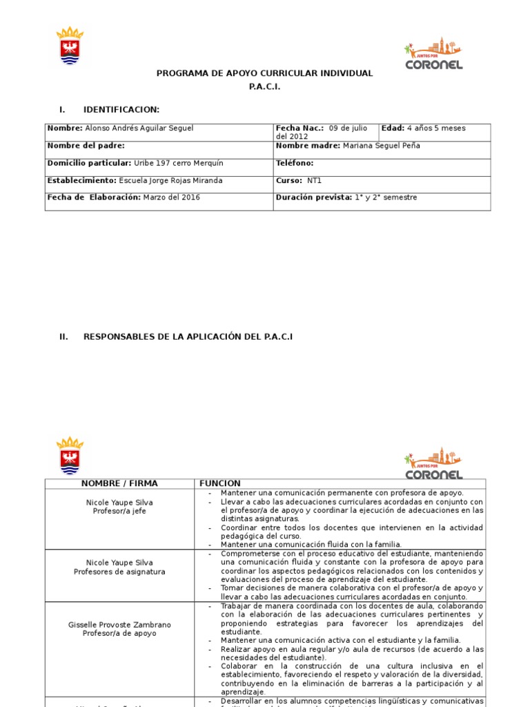 Formato PACI | PDF | Aprendizaje | Maestros