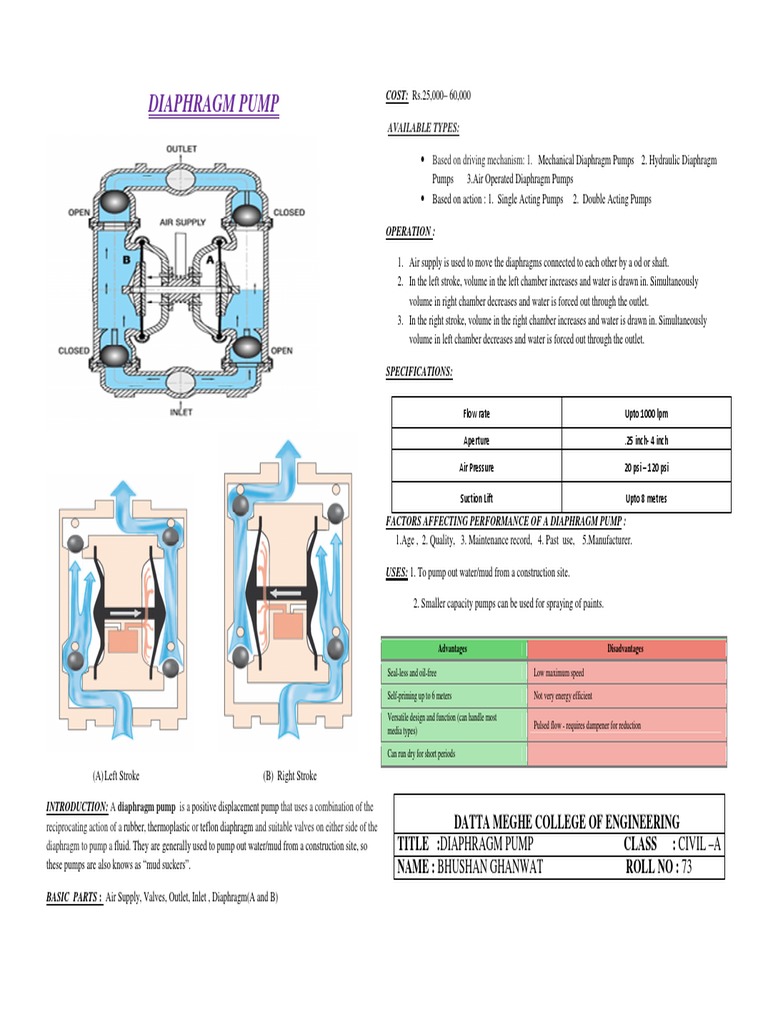 Diaphragm Pump Final | PDF | Pump | Turbomachinery