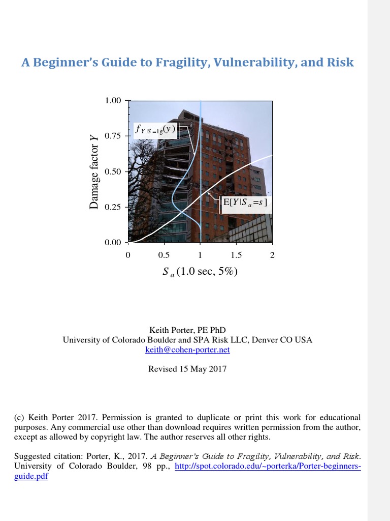 A Beginner's Guide To Fragility, Vulnerability, and Risk | PDF | Normal ...