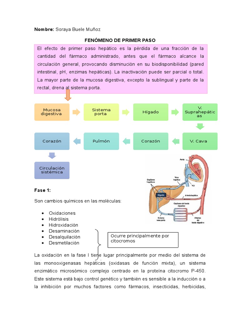 Fenómeno Primer Paso | PDF | Farmacología | Hígado