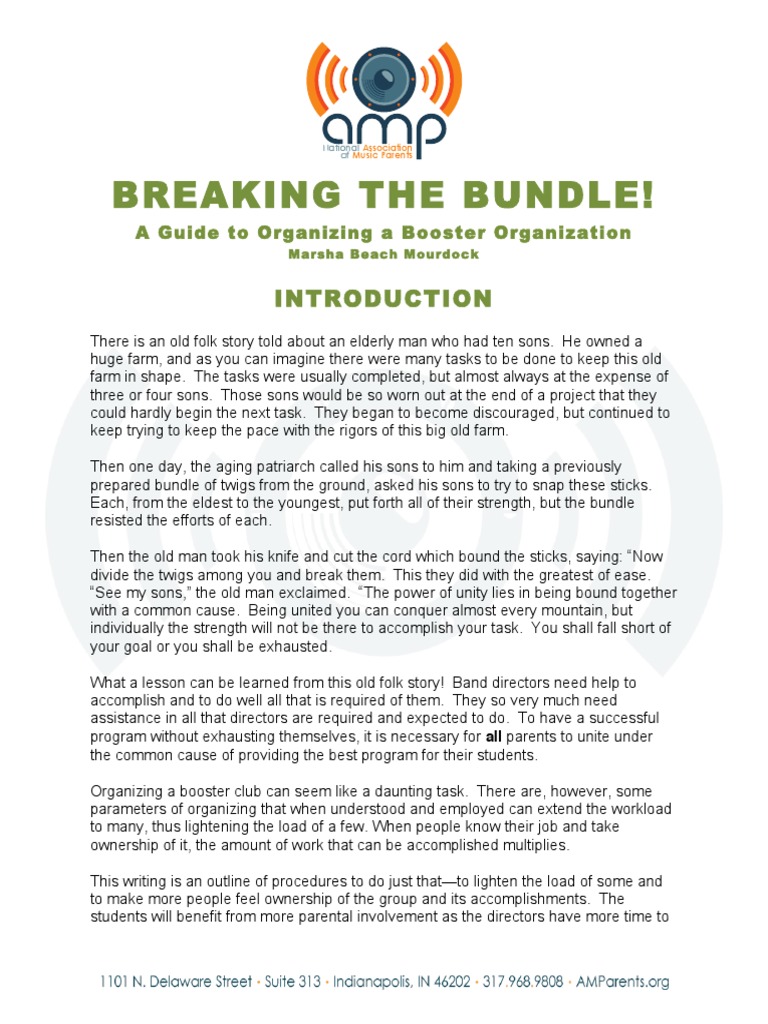 Organizing A Booster Organization | PDF