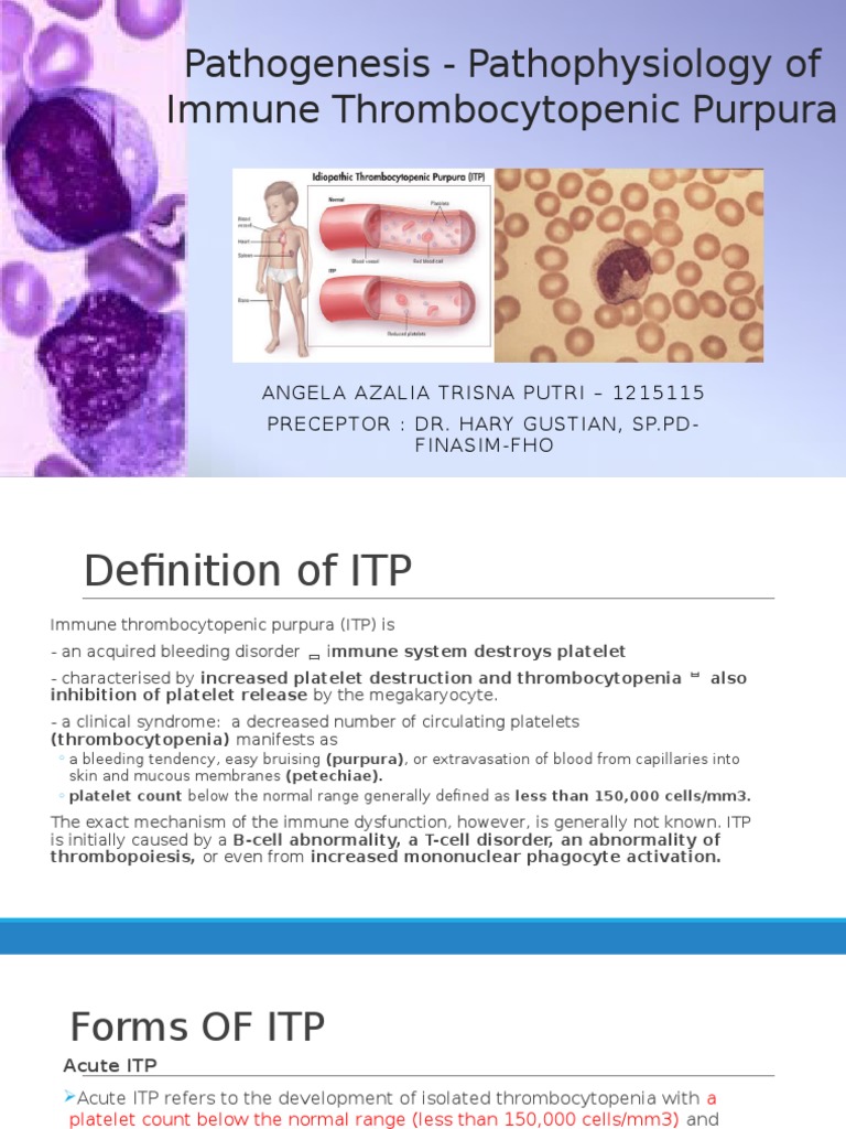 ITP Pathogenesis - Pathophysiology By: Angela Azalia | PDF | Immune ...