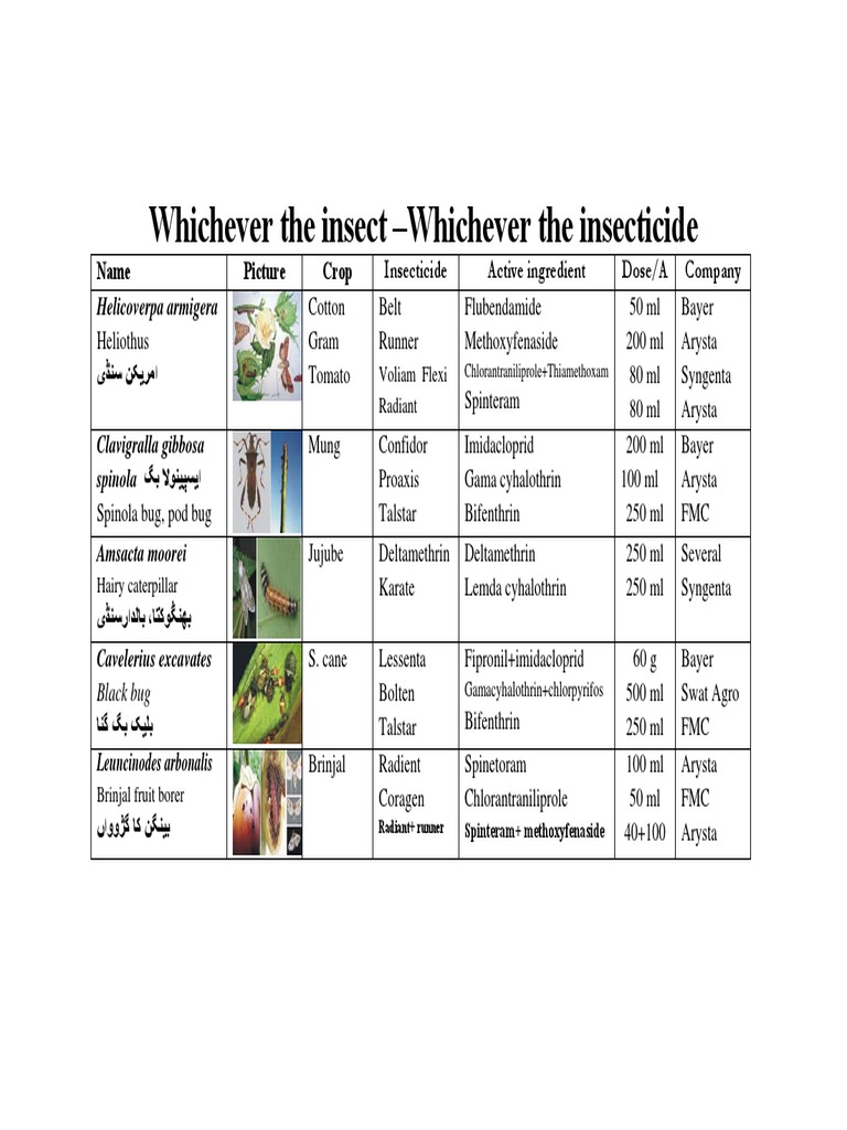 02 Insects & Insecticides