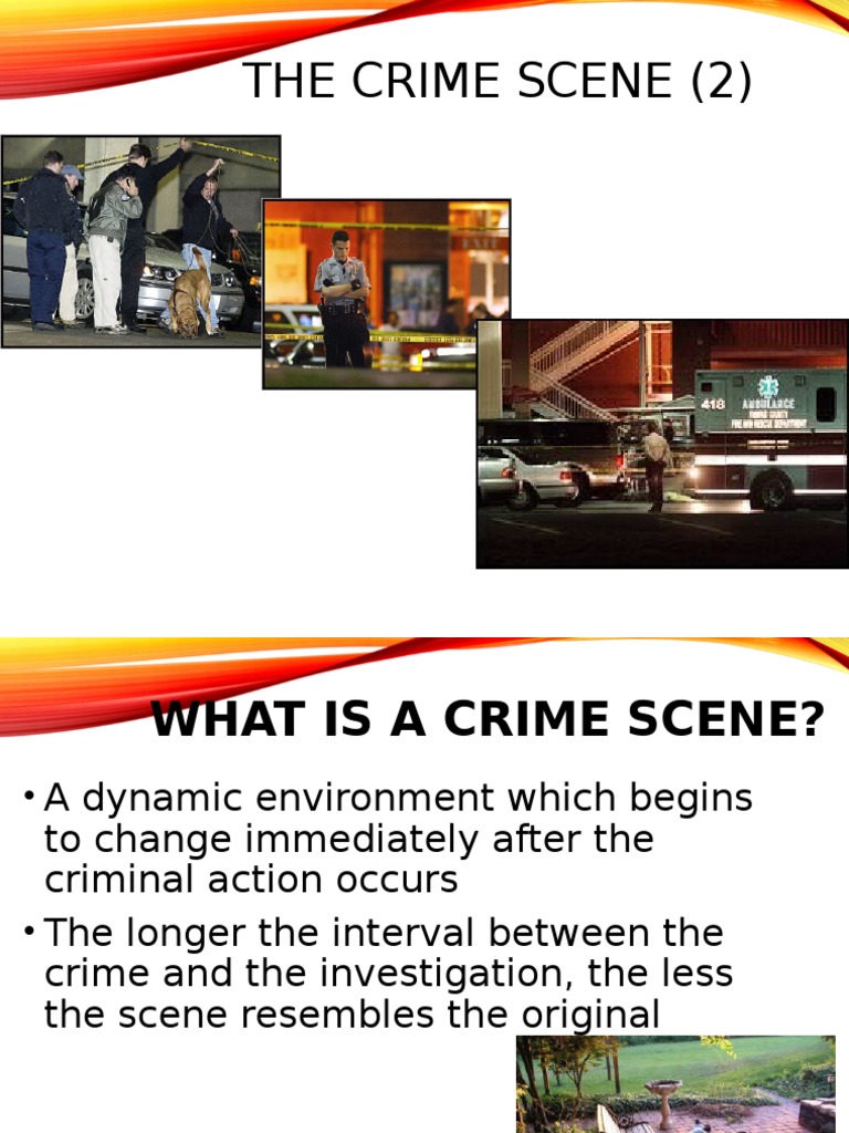 Reconstruction | PDF | Crime Scene | Forensic Science