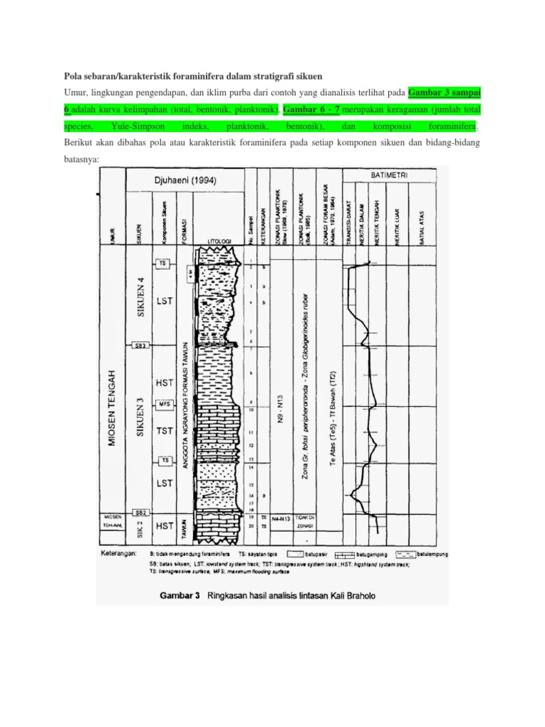 Karakteristik Foraminifera dalam Analisis Biostratigrafi dan ...