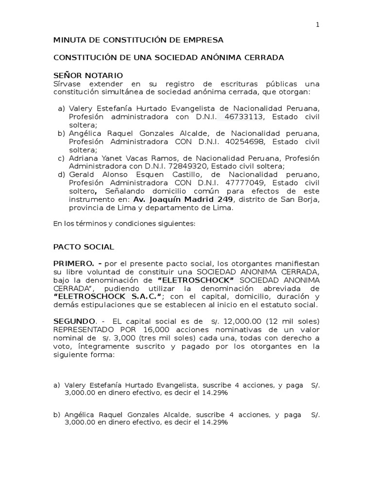 Minuta de Constitución de Empresa Electroschock Sac | PDF | Dividendo | Liquidación