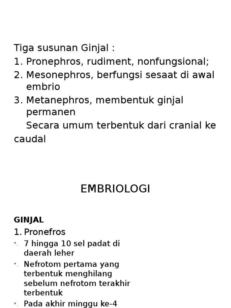 Embriologi Ginjal | PDF