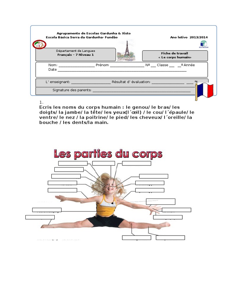 Feuille De Travail Sur Les Parties Du Corps Feuilles De Travail Sur