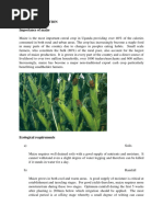 Covo Rugare Gold PLUS | PDF | Fertilizer | Seed