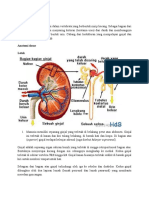 Anatomi Dan Fisiologi Ginjal | PDF