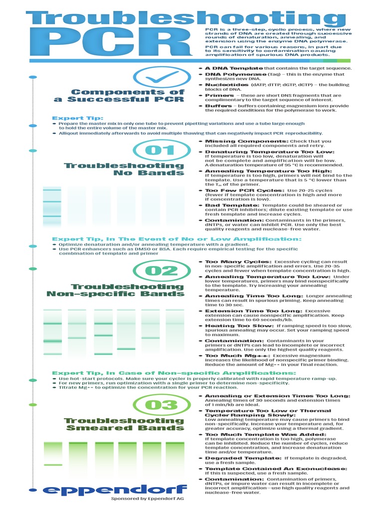 Trouble Shoting PCR. | PDF | Polymerase Chain Reaction | Primer ...