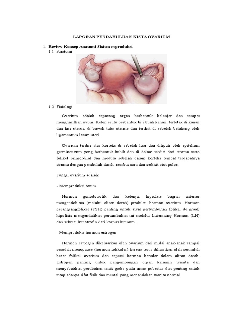 LP Kista Ovarium | PDF