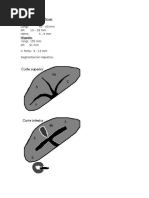 C 37 Cecostomia Colostomia | PDF | Intestino grueso | Abdomen