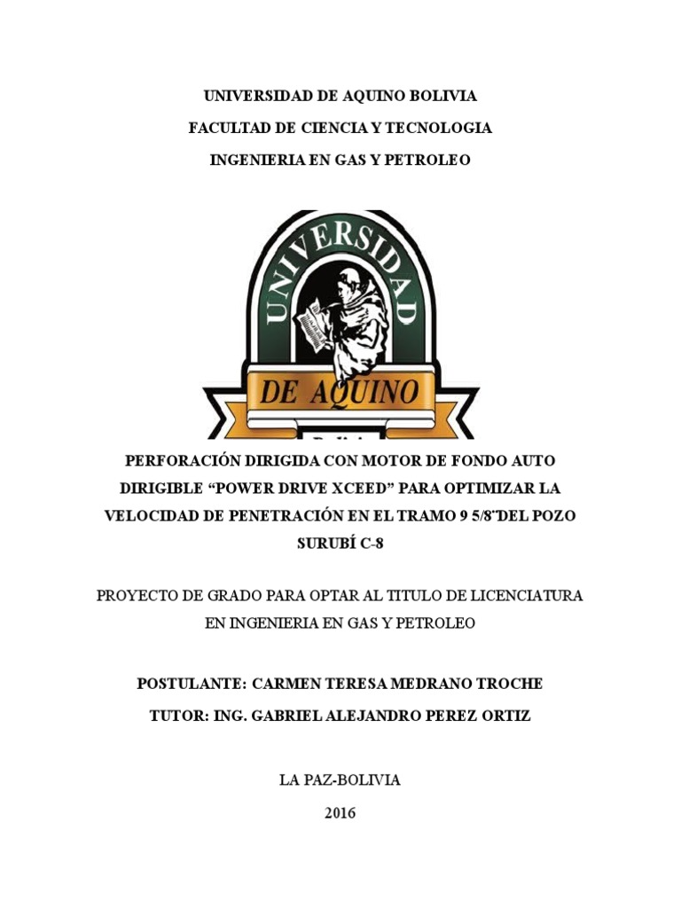 Perforación Dirigida con Power Drive Xceed | PDF | Roca (geología ...